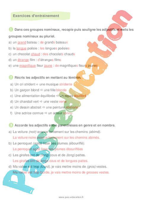 L’accord de l’adjectif avec le nom – Ce2 – Soutien scolaire pour les ...