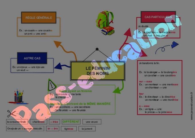 Le féminin des noms – Cm1 – Cm2 – Carte mentale à co-construire – PDF à ...