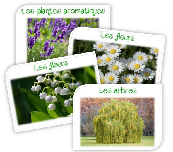 Vocabulaire de la nature par Pépiole à l'école - jenseigne.fr