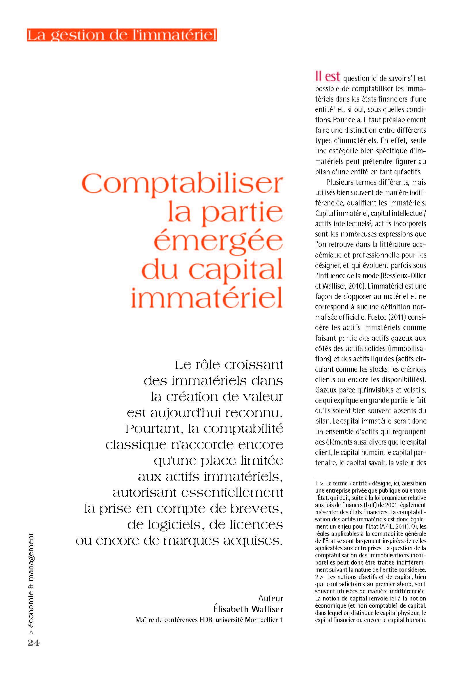 Comptabiliser la partie émergée du capital immatériel, par Élisabeth Walliser par Canopé ...